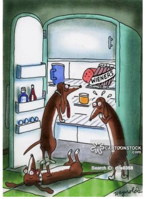 Funny Things Found on the Internet | KatyQuilts
