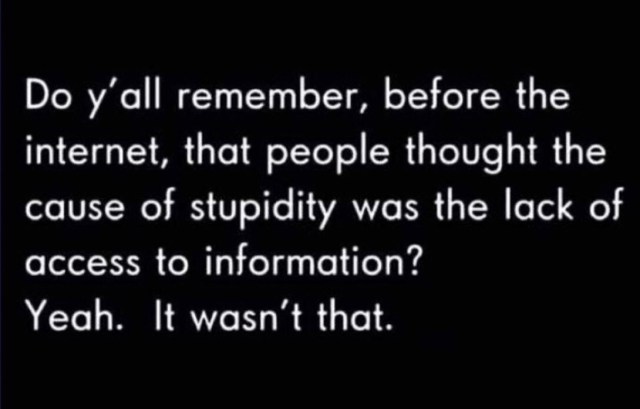 Funny Things Found on the Internet | KatyQuilts