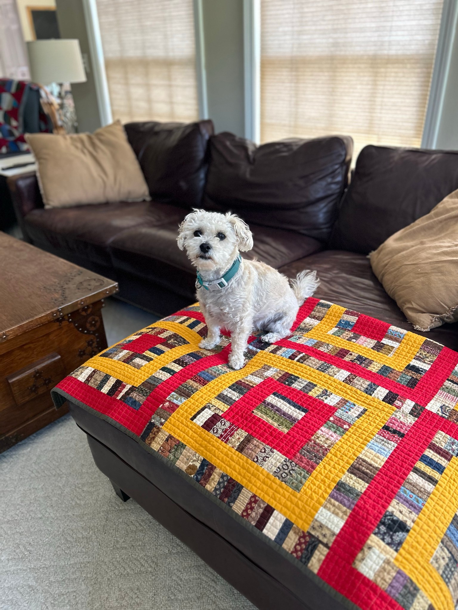 Finish It Up Friday ~ String Theory | KatyQuilts