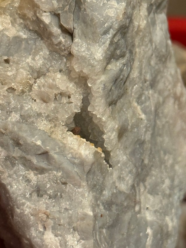 KatyQuilts | My musings on art and life…. | Page 9